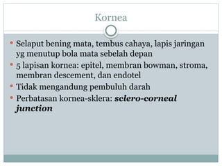 Anatomi_and_fisiologi_ Bagian bagian mata.pptx