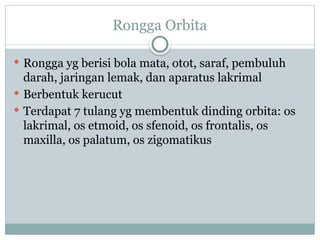 Anatomi_and_fisiologi_ Bagian bagian mata.pptx