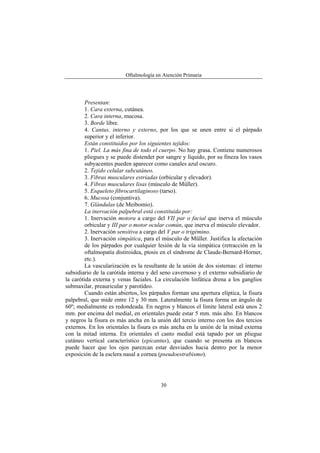 Anatomia ocular | PDF