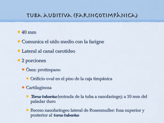 Anatomía de Oído | PPT