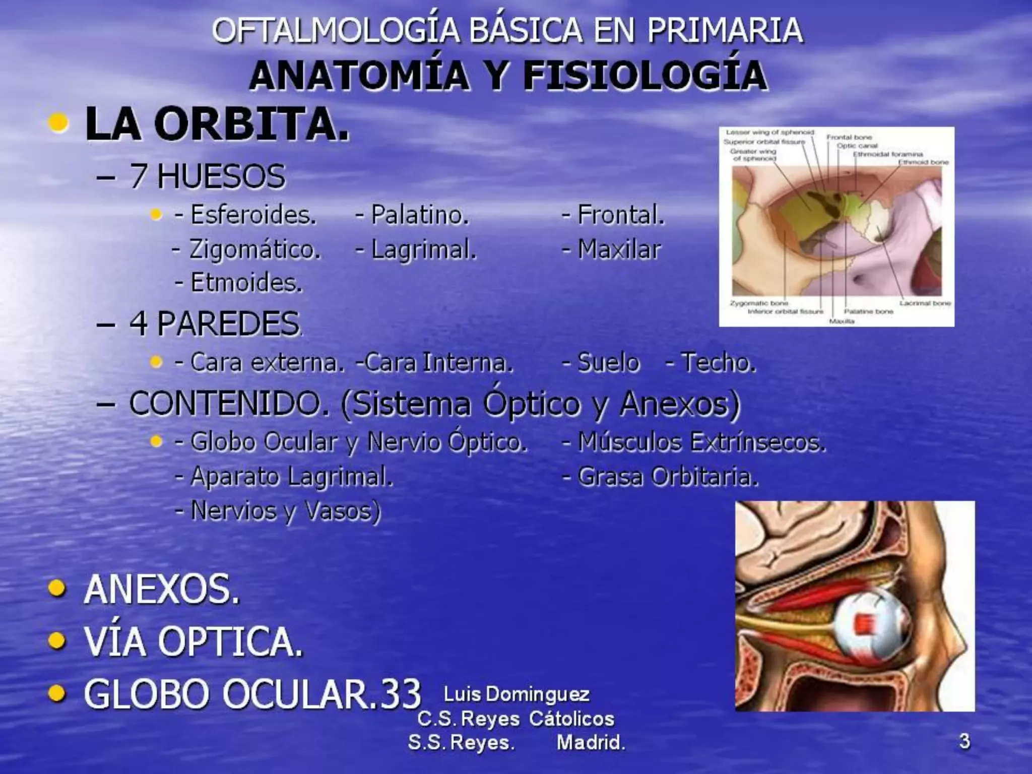 OFTALMOLOGIA BASICA EN PRIMARIA Anatomia basica | PDF