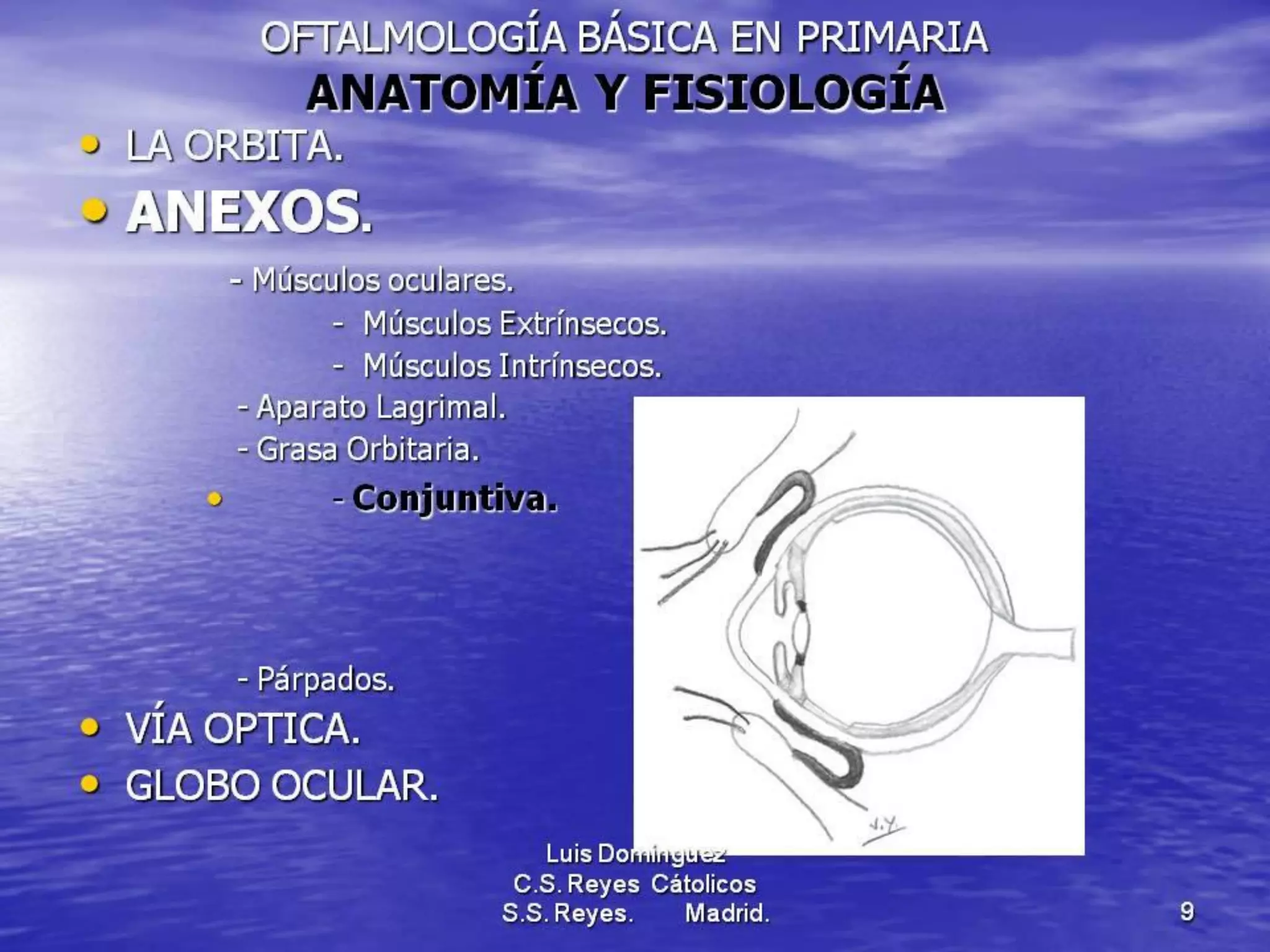 OFTALMOLOGIA BASICA EN PRIMARIA Anatomia basica | PDF