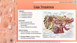 Anatomia del oido, externo, medio e interno | PPTX