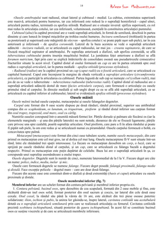 Anatomia omului Vasile Andrieş | DOC