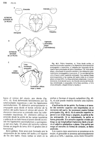 Anatomia O'Rahilly 5a Edicion_booksmedicos.org.pdf