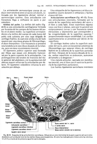 Anatomia O'Rahilly 5a Edicion_booksmedicos.org.pdf