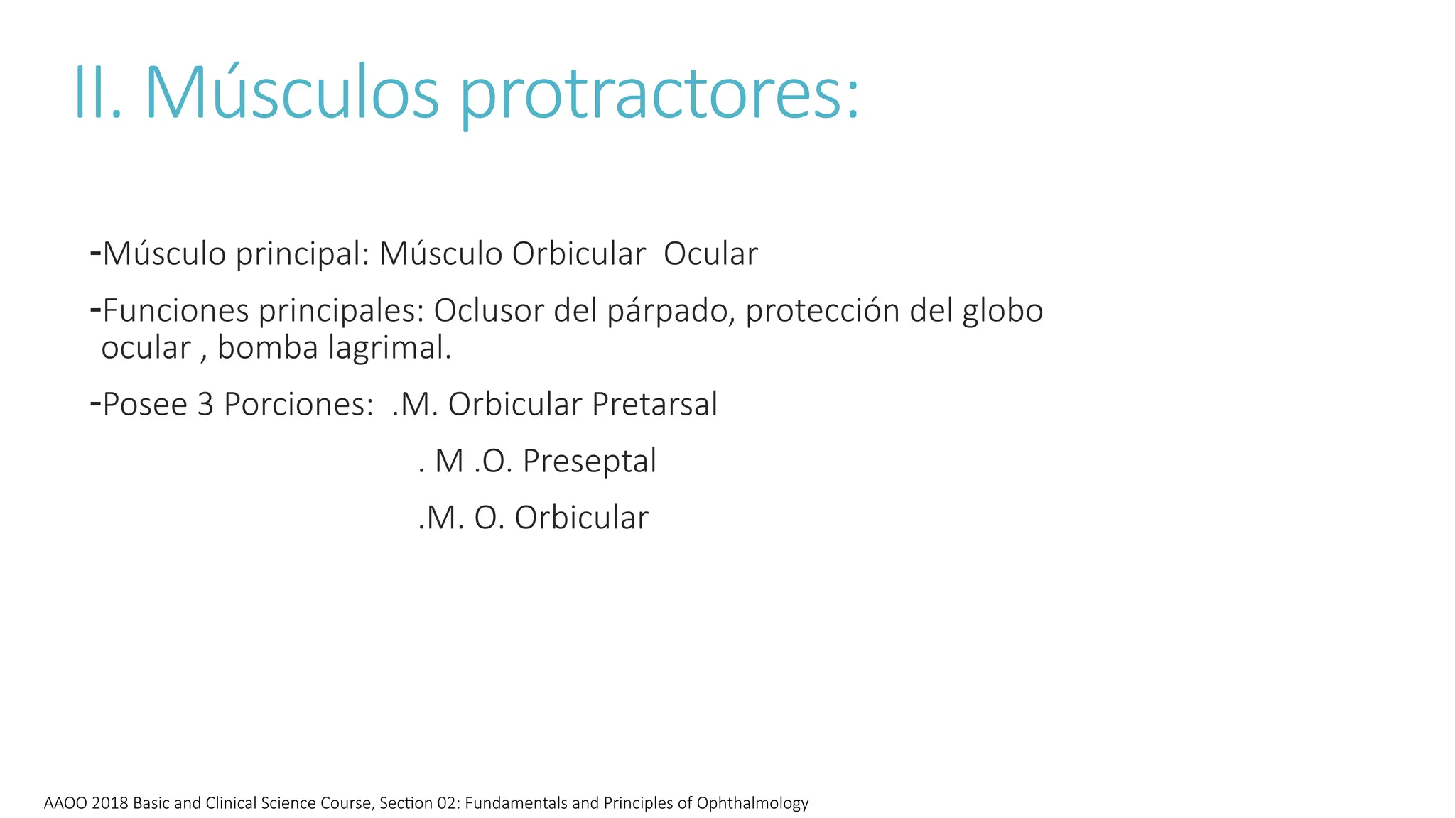 anatomia orbita via lagrimal y parpadoss | PPT