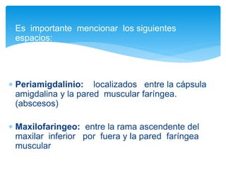 Anatomia de la orofaringe | PPTX