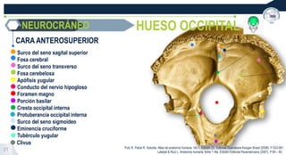 ANATOMÍA ÓSEA DEL NEUROCRÁNEO Y VISCEROCRÁNEO | PPTX