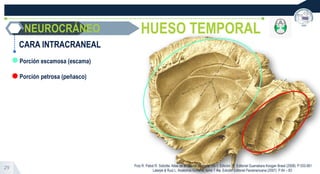 ANATOMÍA ÓSEA DEL NEUROCRÁNEO Y VISCEROCRÁNEO | PPTX