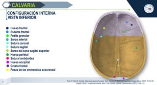 ANATOMÍA ÓSEA DEL NEUROCRÁNEO Y VISCEROCRÁNEO | PPTX