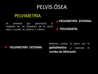 ANATOMIA OSEA Y BLANDA DE LA PELVIS.pptx