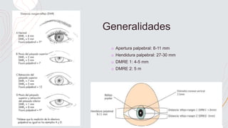 Anatomía palpebral.pptx