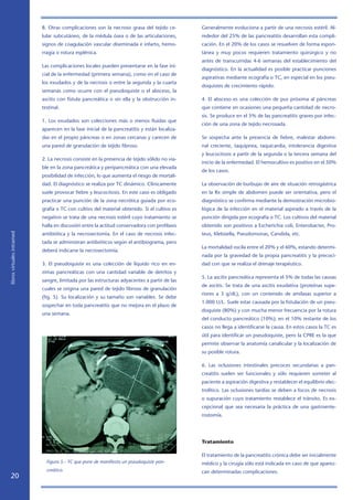 Anatomia pancreas | PDF