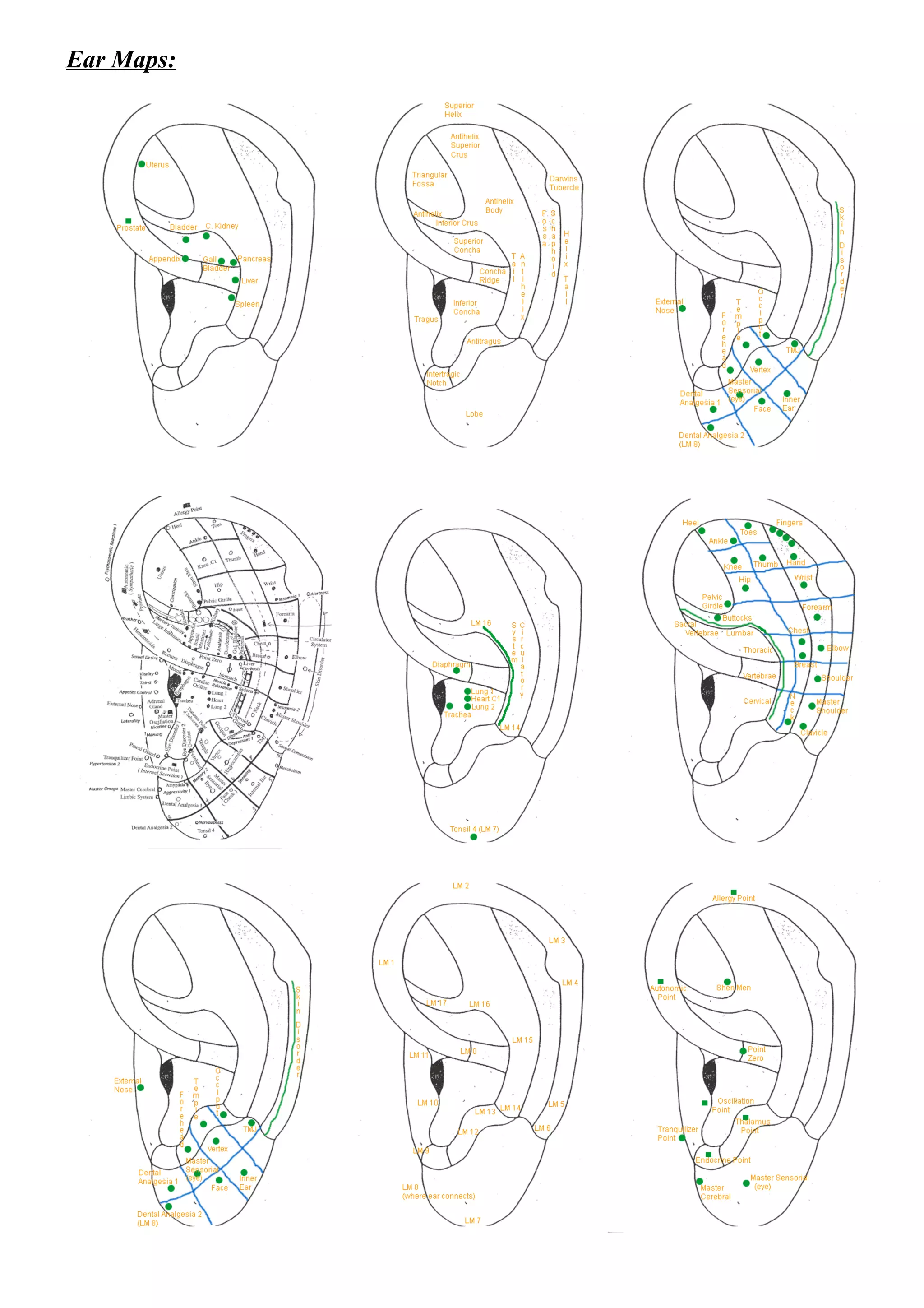 Anatomia para auriculo beleza de aço | DOC