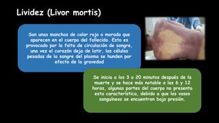 anatomia para tanatopraxia (1).pptx