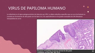 anatomia patologiCA - CITOLOGIA - MEDICINA | PPTX