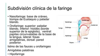 Anatomía, patología de faringe, cavidad oral.pptx