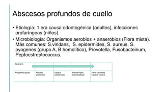 Anatomía, patología de faringe, cavidad oral.pptx