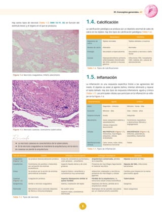 MANUAL DEL CTO DE ANATOMIA PATOLOGICA.pdf