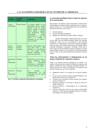 Anatomia patologica stevens | PDF