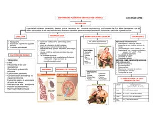Anatomia patologica de pulmon | PDF