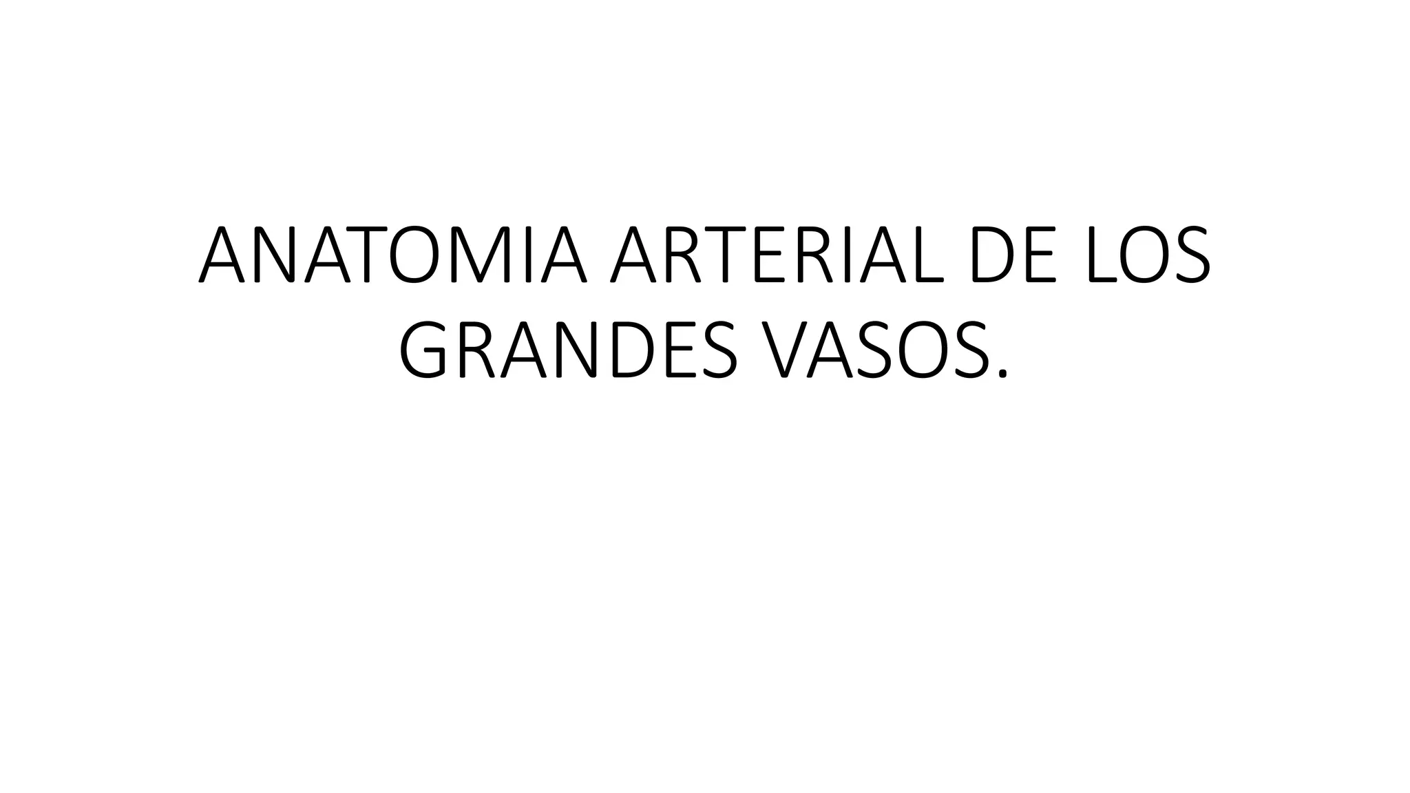 ANATOMIA DE LOS GRANDES VASOS, ARTERIAS Y VENAS. | PPTX