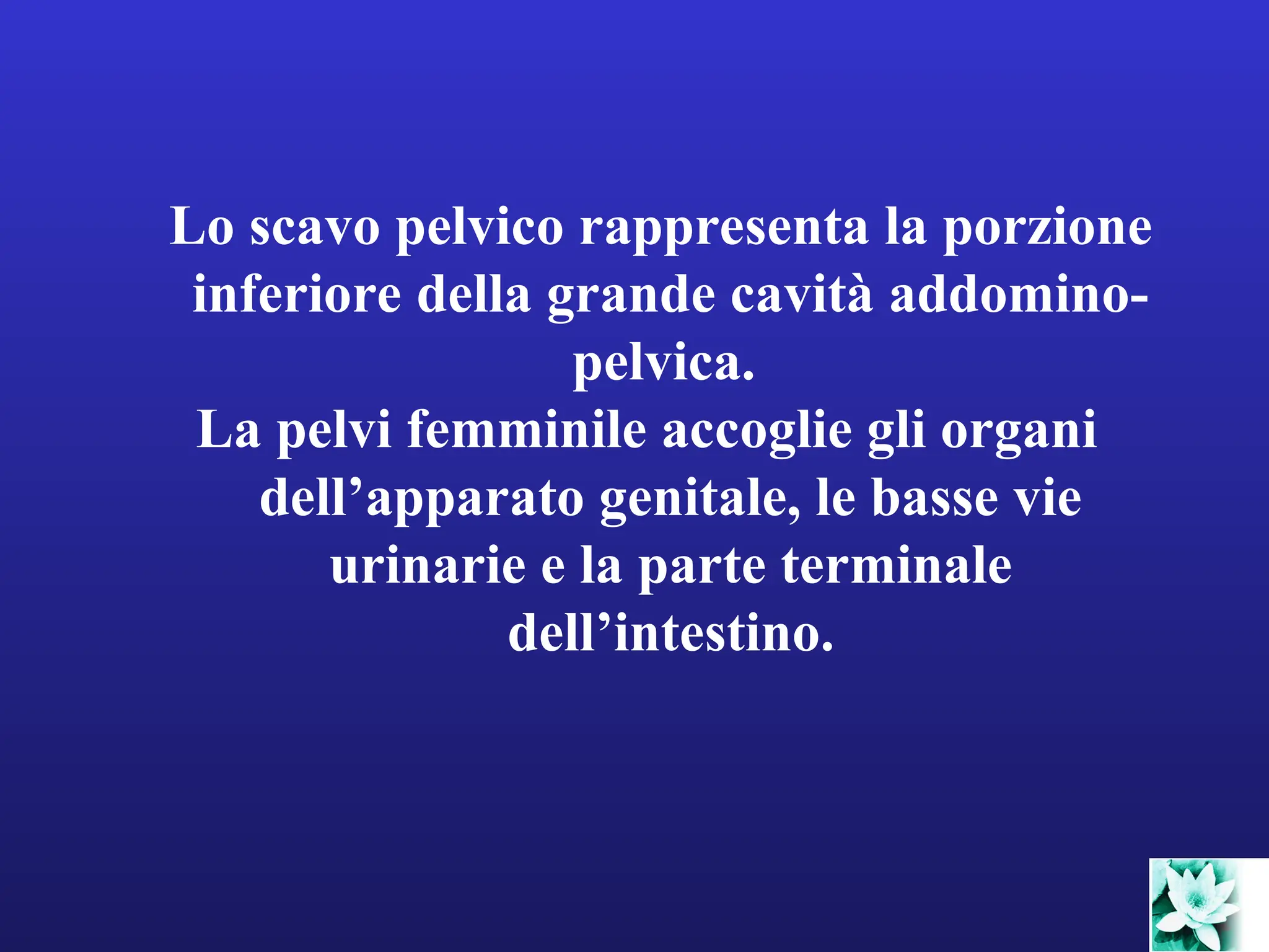anatomia funzionale del pavimento pelvico | PPT