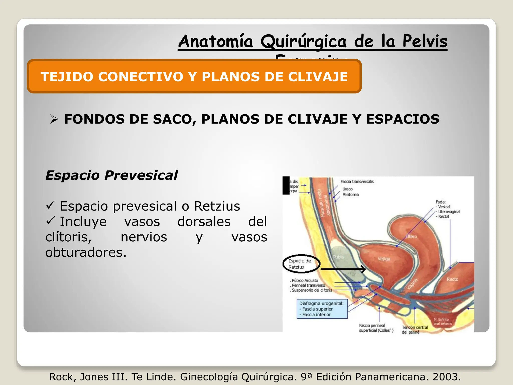 Anatomia pelvis EVALUCION PLANOS LIMITES | PPTX | Pregnancy ...