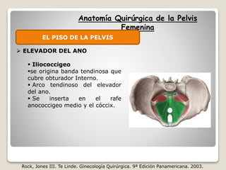 Anatomia pelvis EVALUCION PLANOS LIMITES | PPTX