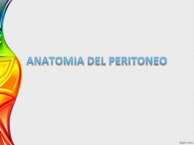Anatomia peritoneal | PPTX