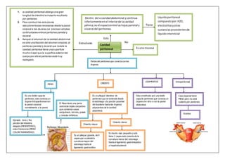 Anatomia peritoneo | DOCX