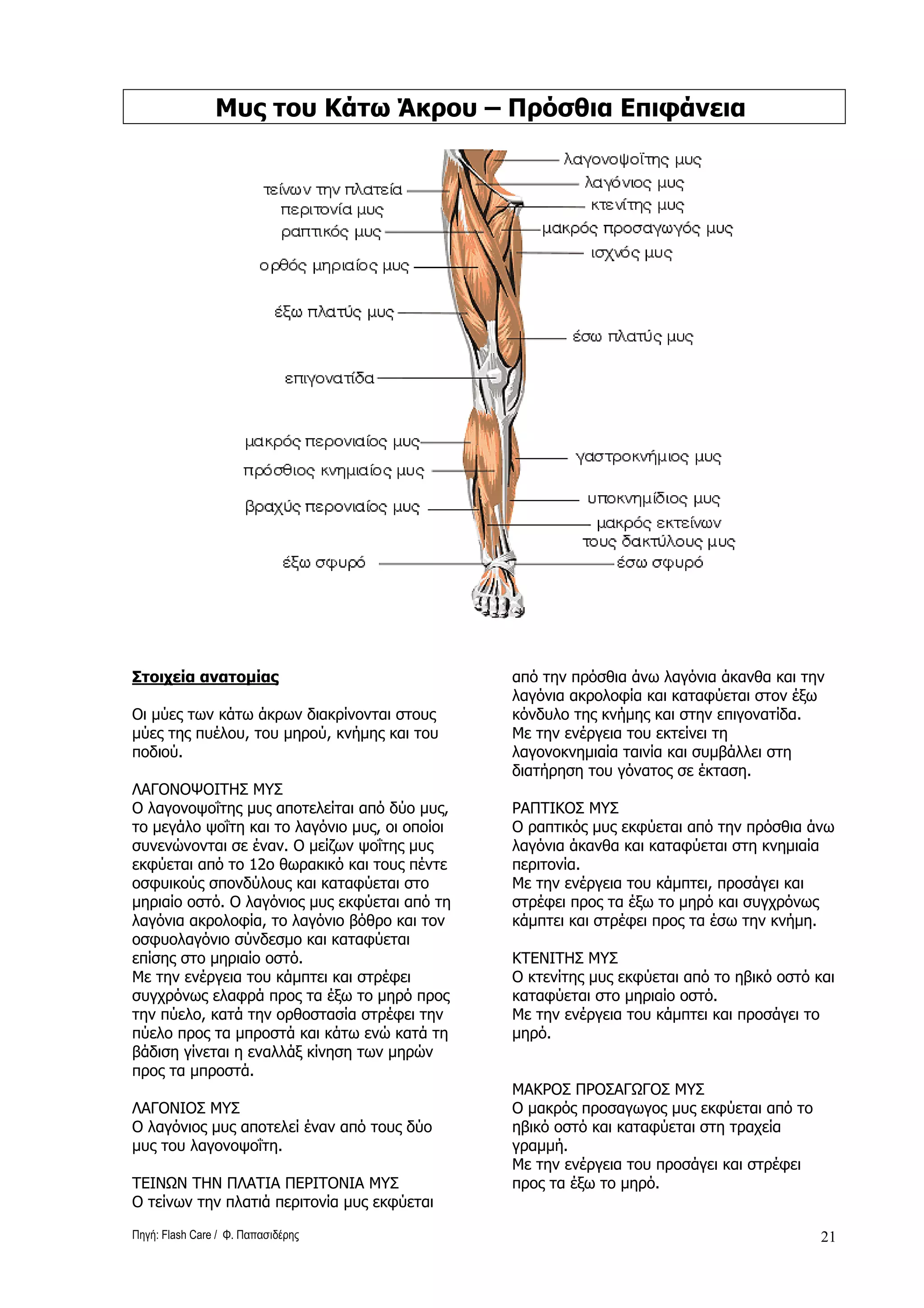 ΑΝΑΤΟΜΙΑ-ΦΥΣΙΟΛΟΓΙΑ | PDF