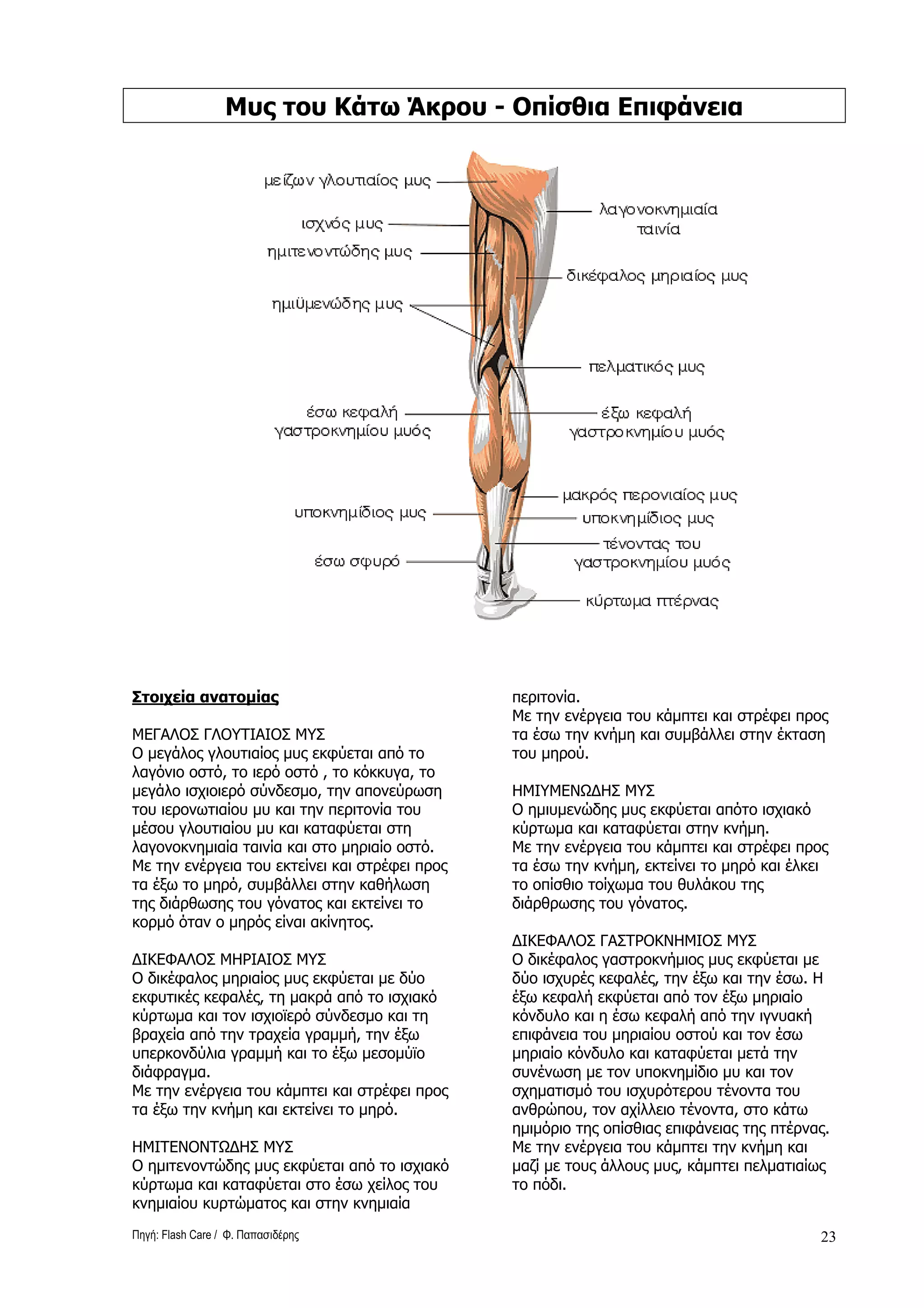 ΑΝΑΤΟΜΙΑ-ΦΥΣΙΟΛΟΓΙΑ | PDF