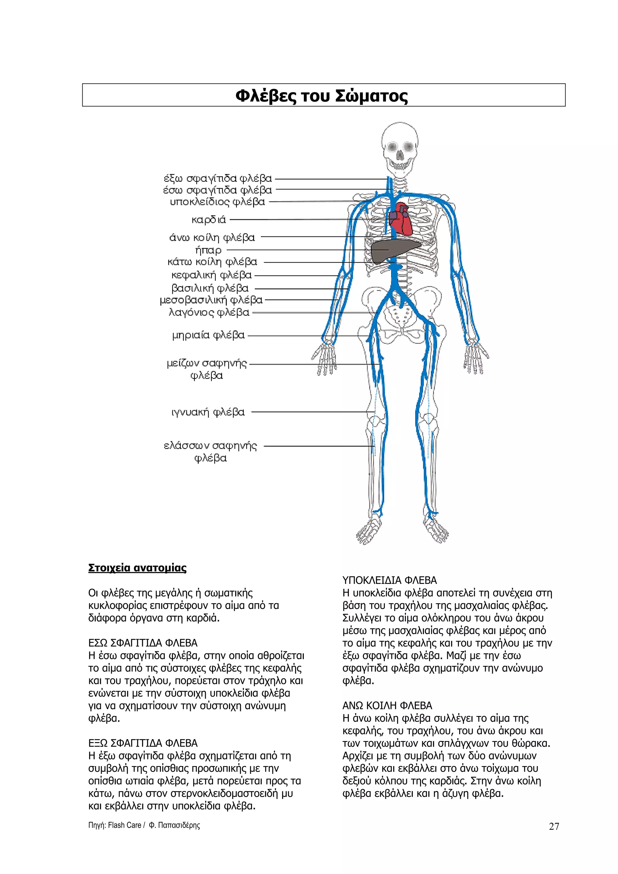 ΑΝΑΤΟΜΙΑ-ΦΥΣΙΟΛΟΓΙΑ | PDF