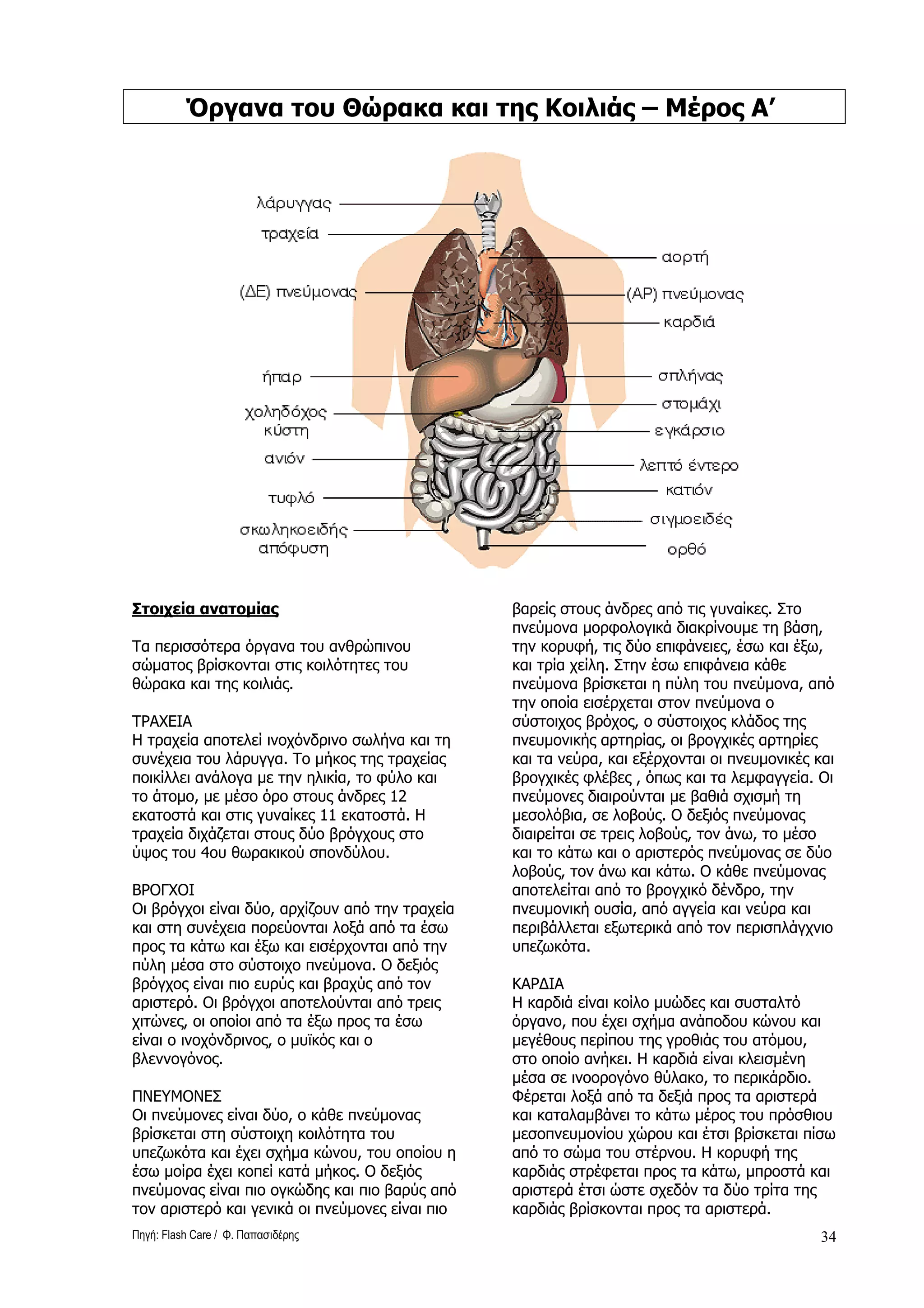 ΑΝΑΤΟΜΙΑ-ΦΥΣΙΟΛΟΓΙΑ | PDF