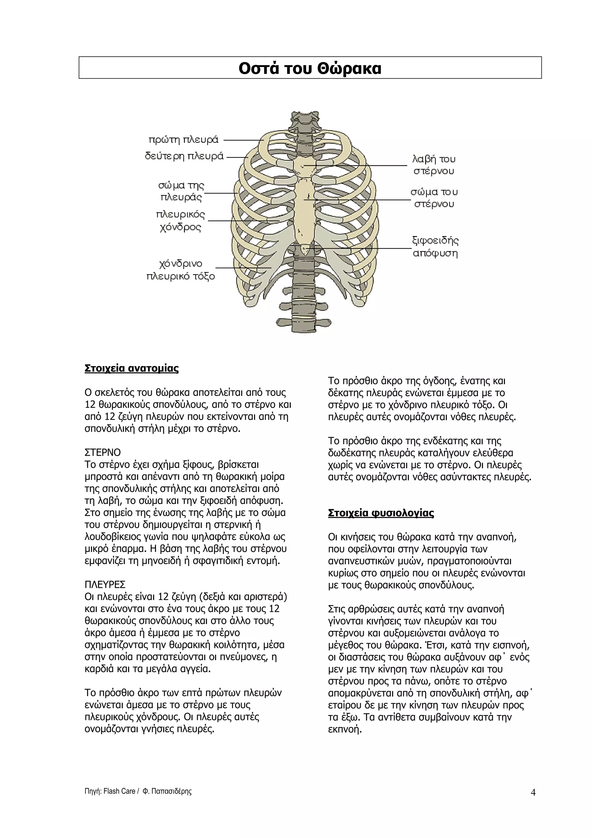 ΑΝΑΤΟΜΙΑ-ΦΥΣΙΟΛΟΓΙΑ | PDF