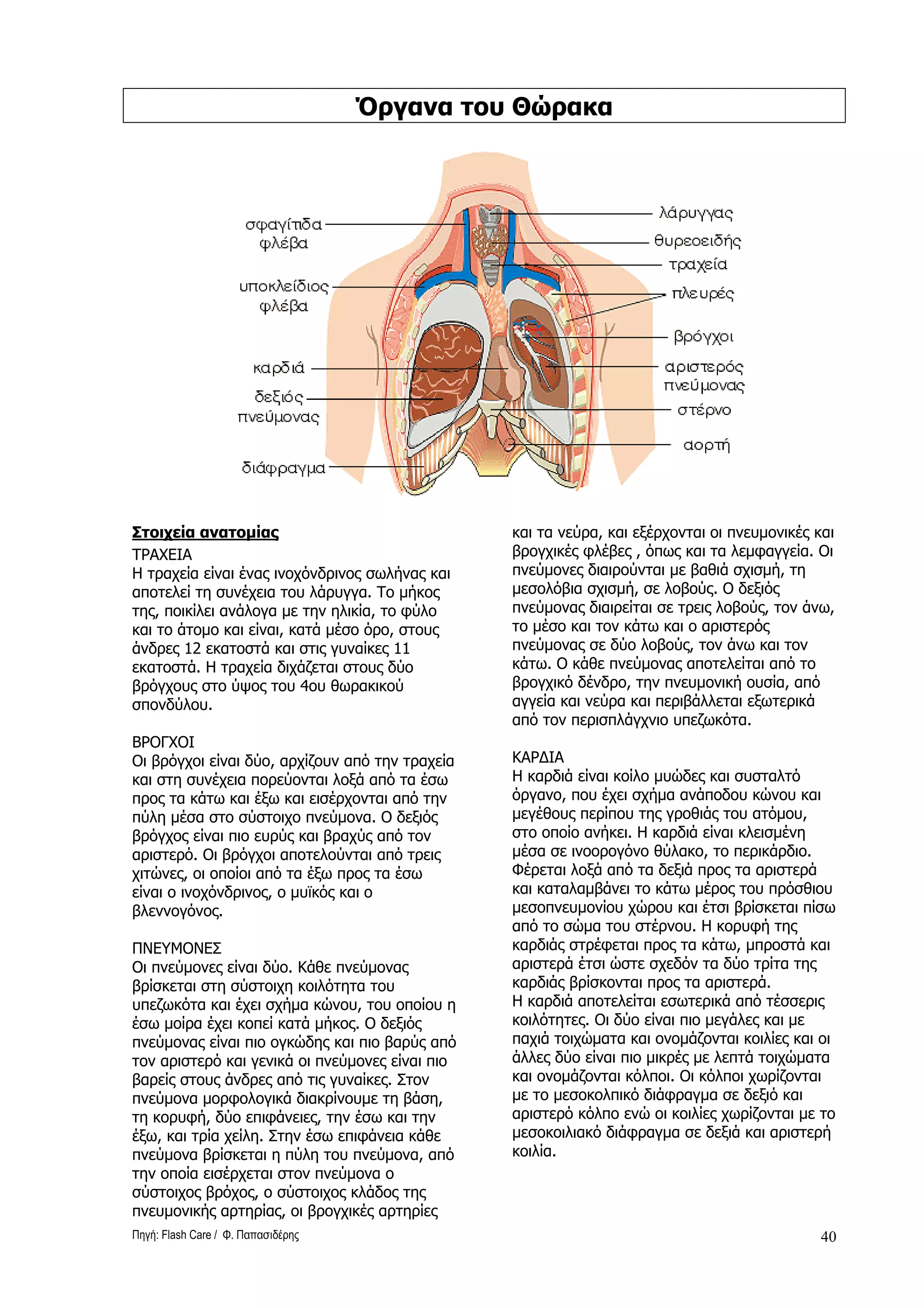 ΑΝΑΤΟΜΙΑ-ΦΥΣΙΟΛΟΓΙΑ | PDF