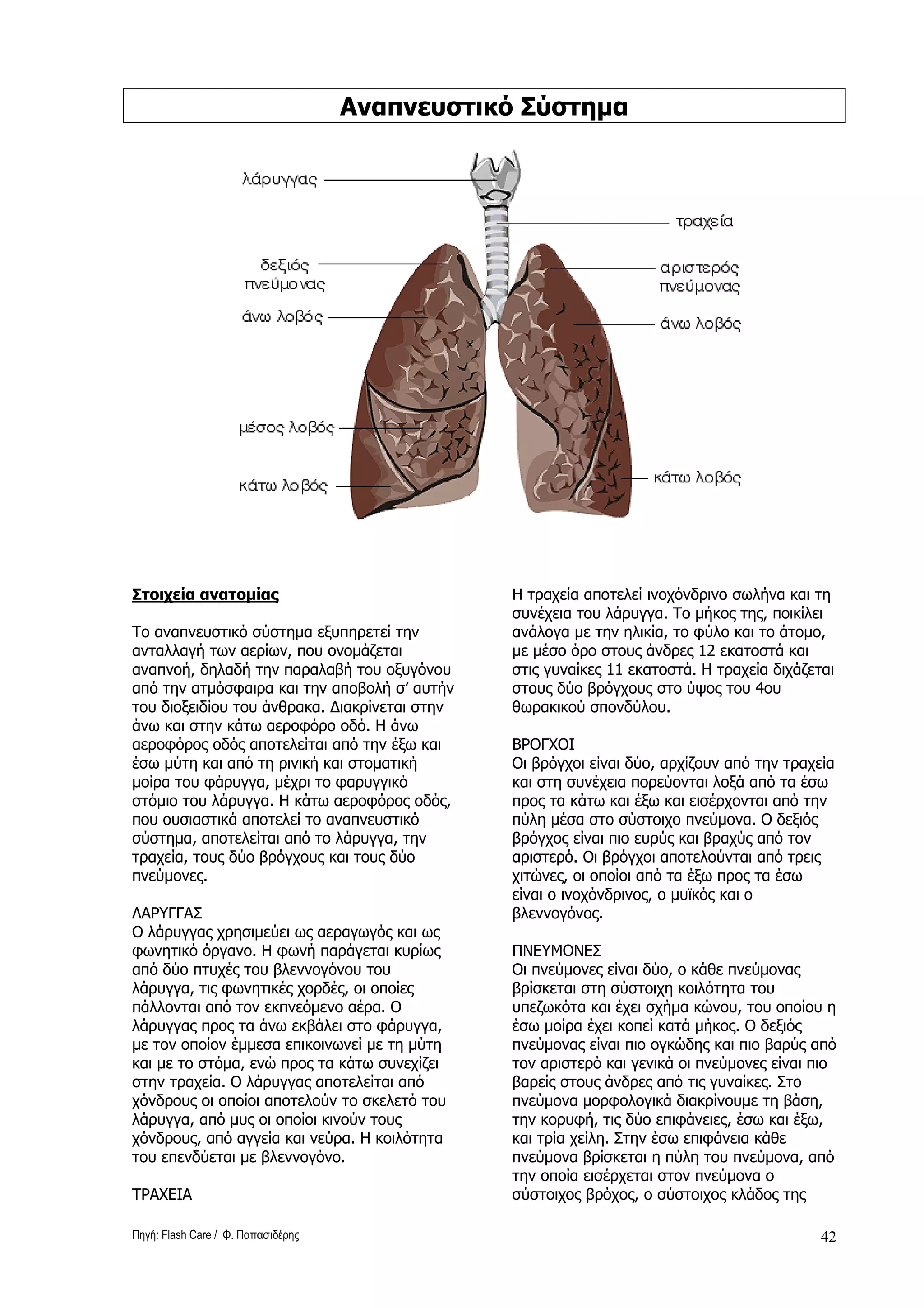 ΑΝΑΤΟΜΙΑ-ΦΥΣΙΟΛΟΓΙΑ | PDF