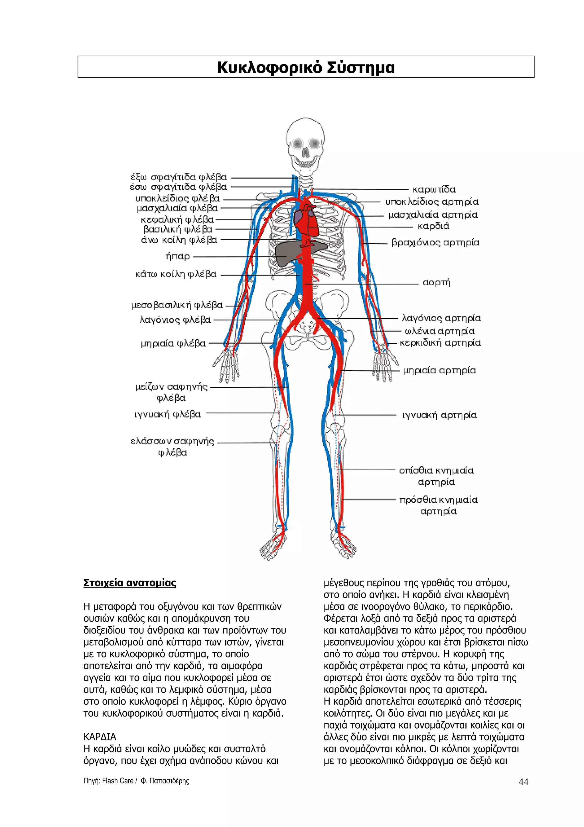 ΑΝΑΤΟΜΙΑ-ΦΥΣΙΟΛΟΓΙΑ | PDF