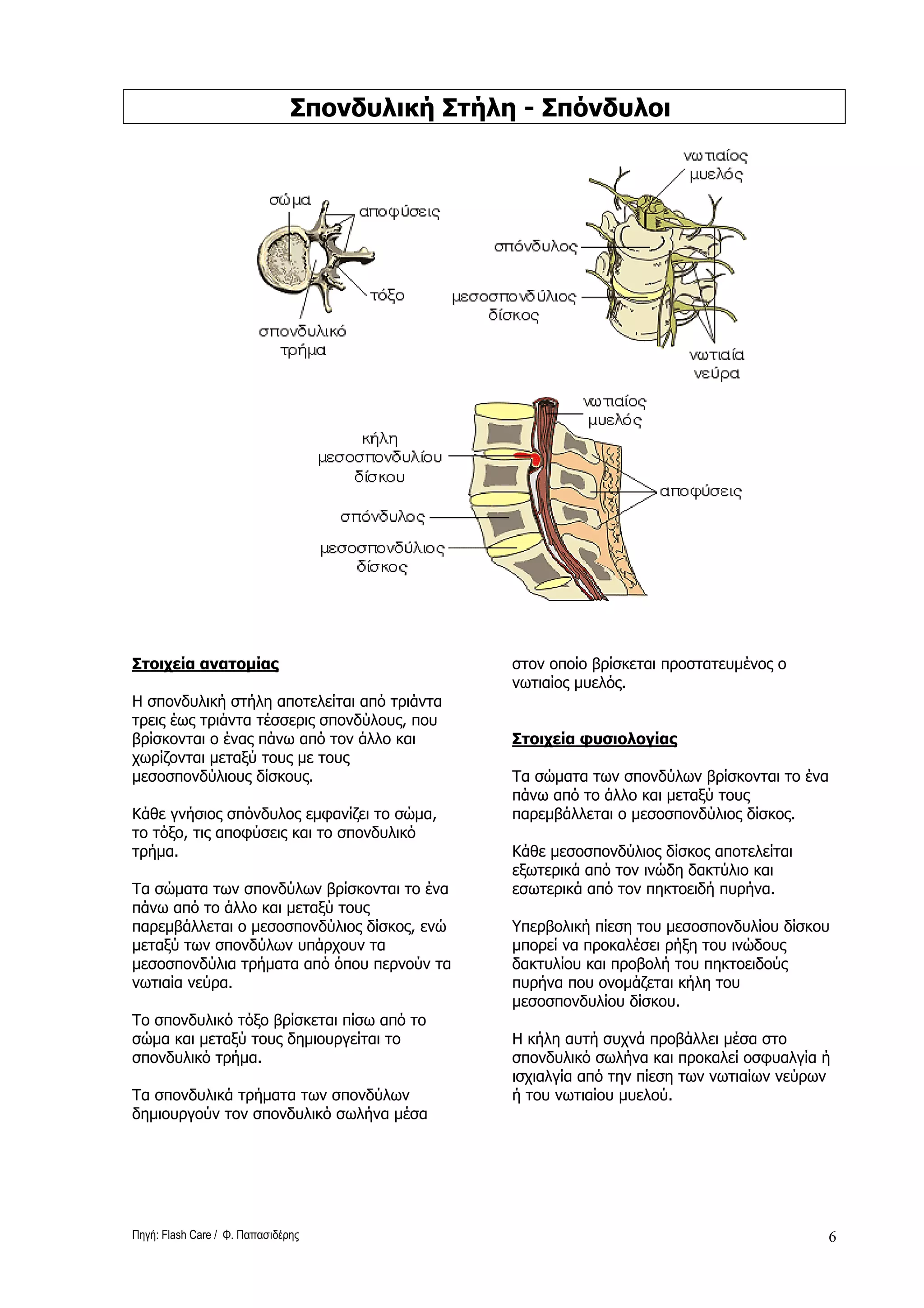 ΑΝΑΤΟΜΙΑ-ΦΥΣΙΟΛΟΓΙΑ | PDF