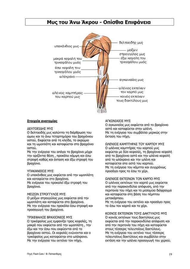 ΑΝΑΤΟΜΙΑ-ΦΥΣΙΟΛΟΓΙΑ | PDF