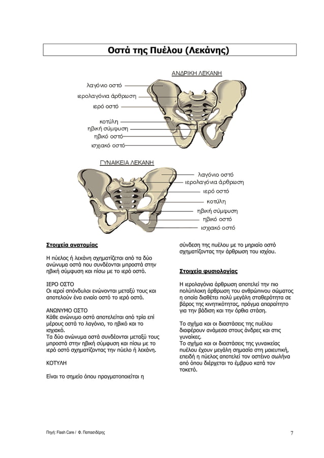 ΑΝΑΤΟΜΙΑ-ΦΥΣΙΟΛΟΓΙΑ