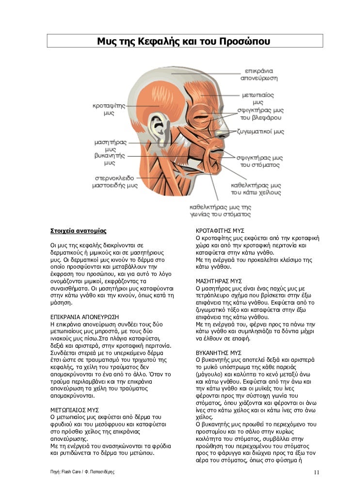 ΑΝΑΤΟΜΙΑ-ΦΥΣΙΟΛΟΓΙΑ