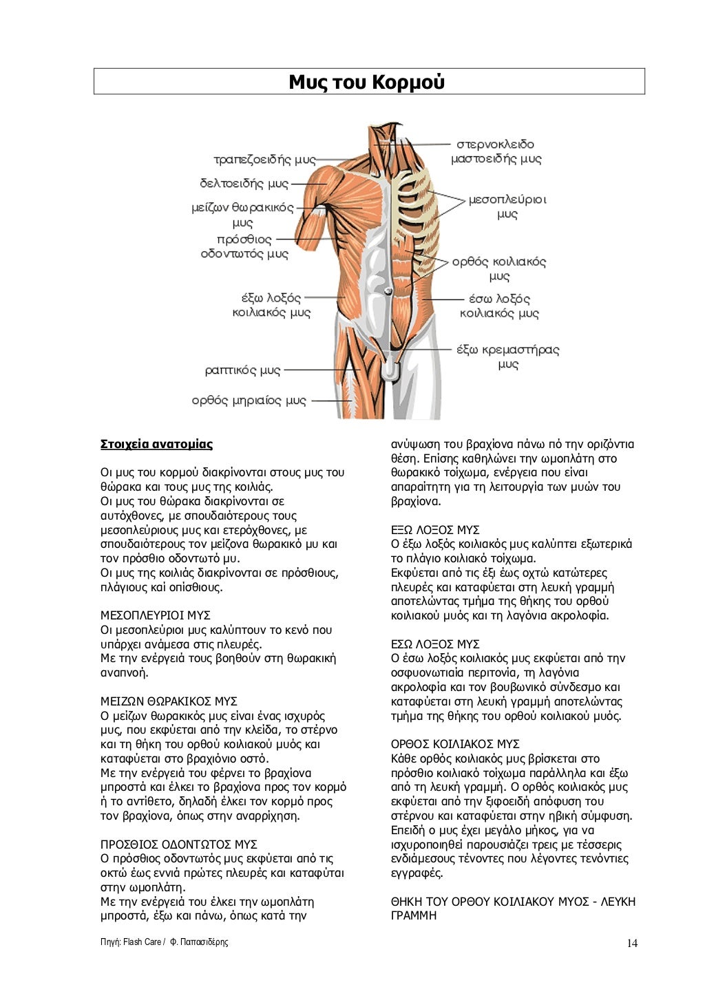 ΑΝΑΤΟΜΙΑ-ΦΥΣΙΟΛΟΓΙΑ