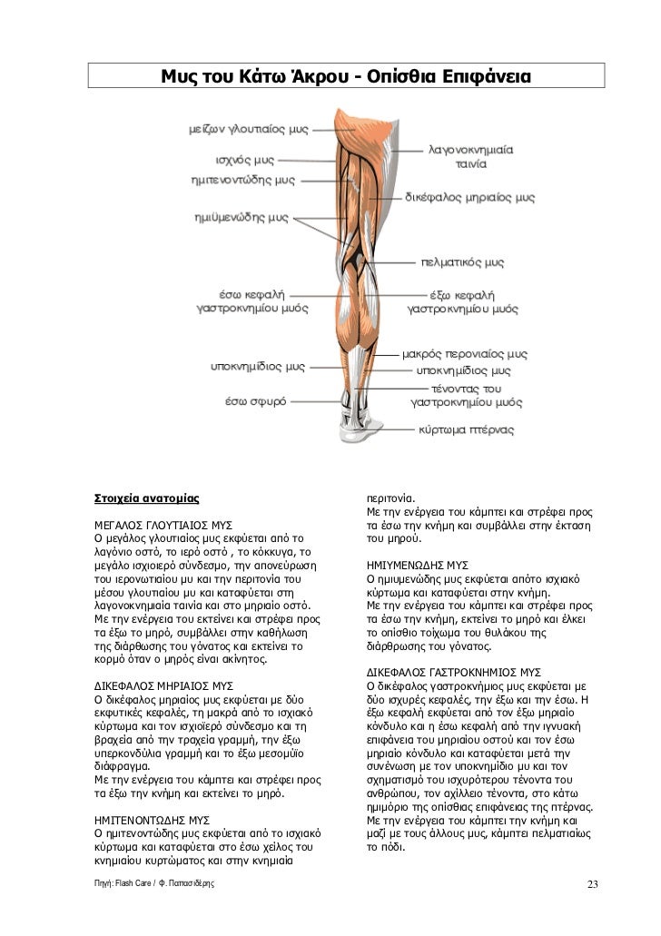 ΑΝΑΤΟΜΙΑ-ΦΥΣΙΟΛΟΓΙΑ