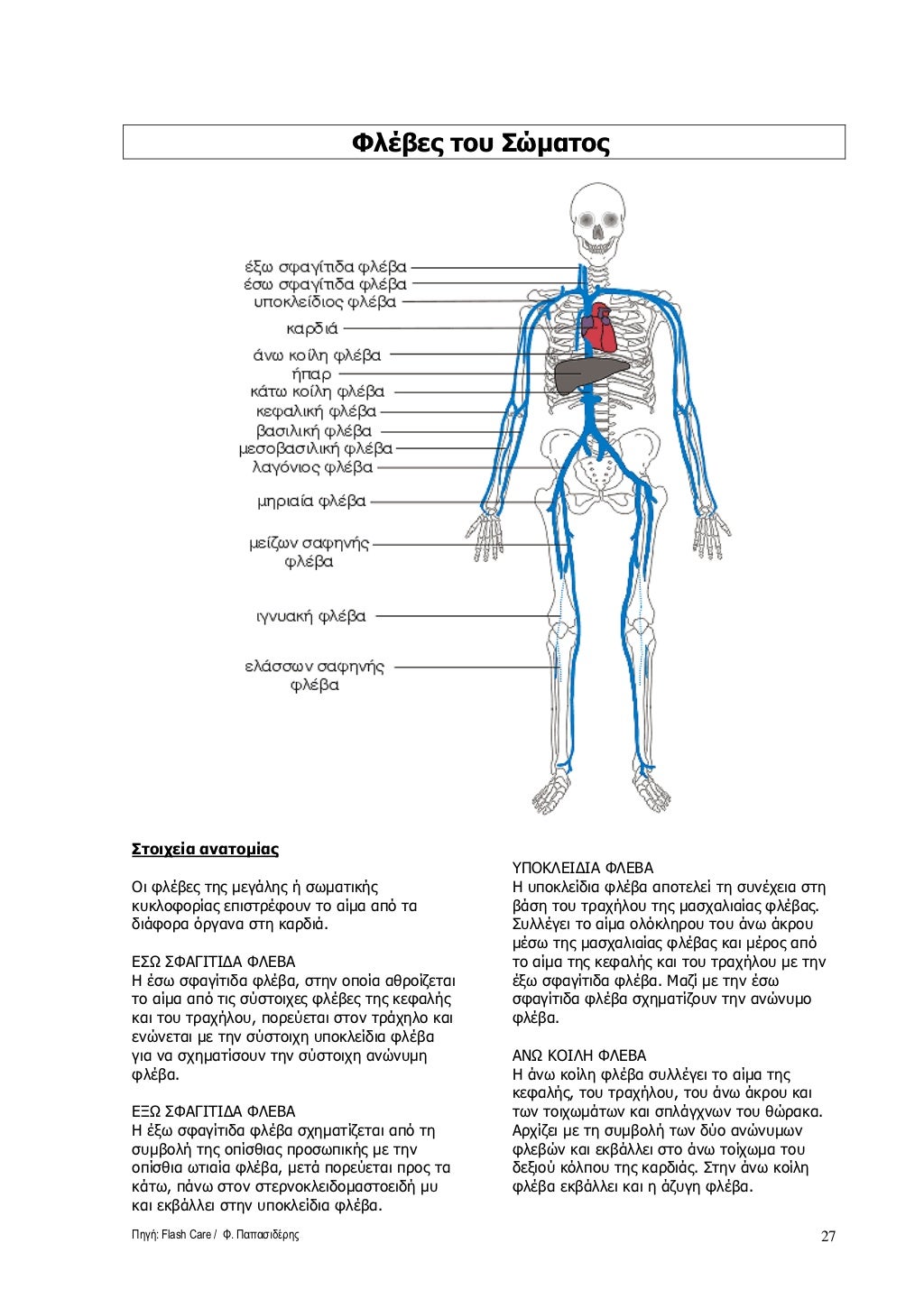 ΑΝΑΤΟΜΙΑ-ΦΥΣΙΟΛΟΓΙΑ