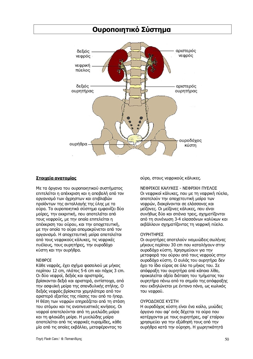 ΑΝΑΤΟΜΙΑ-ΦΥΣΙΟΛΟΓΙΑ