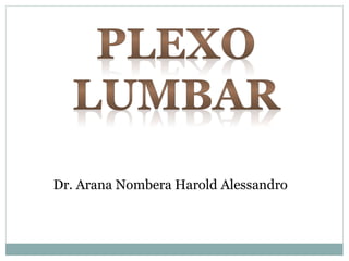 Presentación Anatomía Plexo Lumbar | PPTX