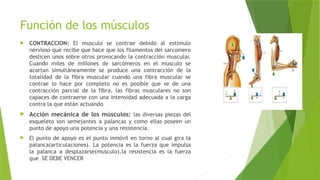 ANATOMIA SOMATICA, OSEA, MUSCULAR, ARTROLOGIA POSGRADO | PPTX